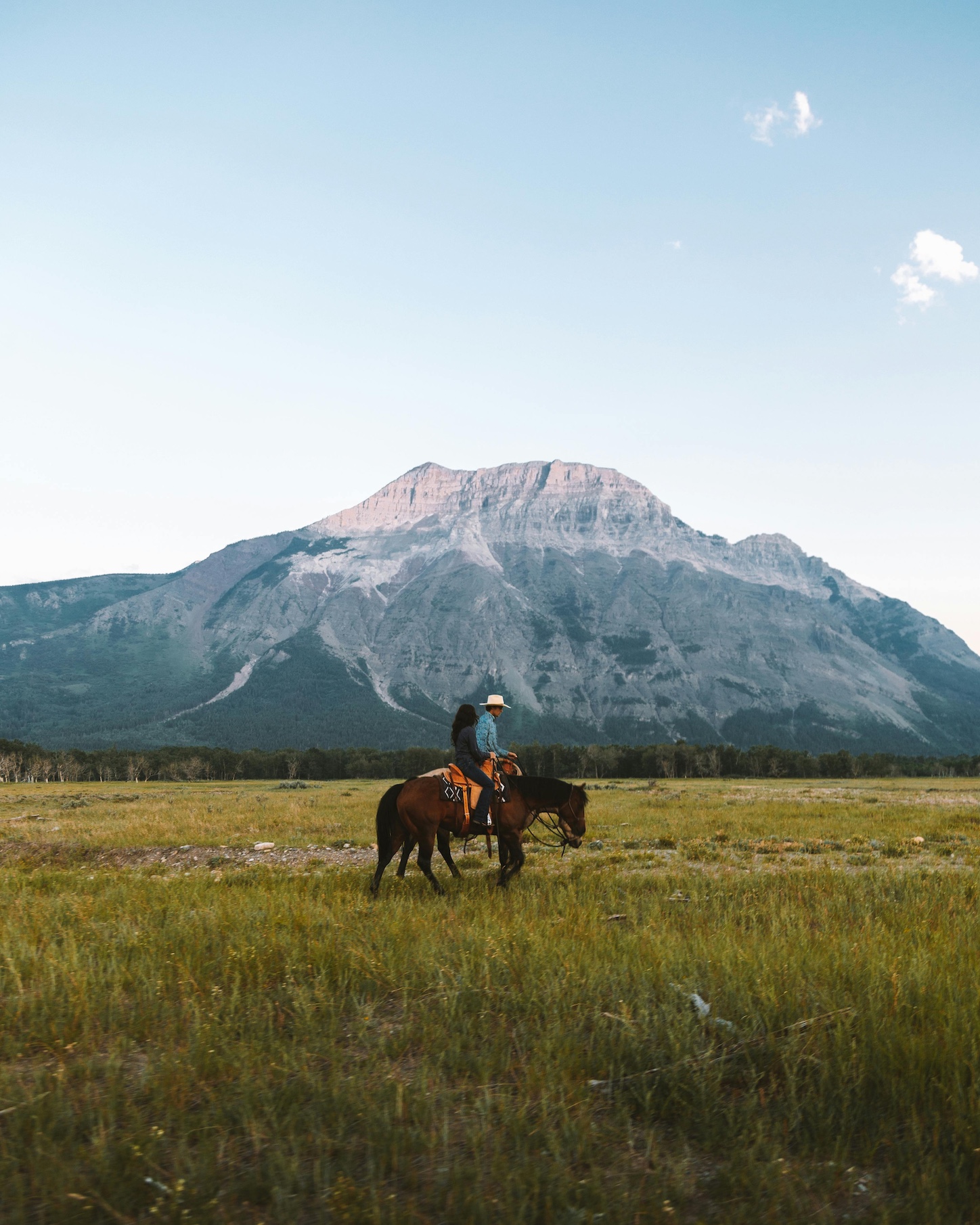 From Mountains To Beaches: Top States For Trail Riding