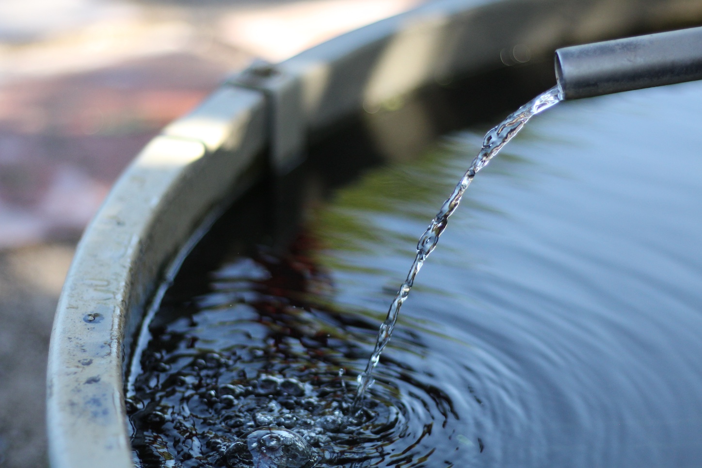 Easy Homemade Electrolyte Recipe For Your Horse
